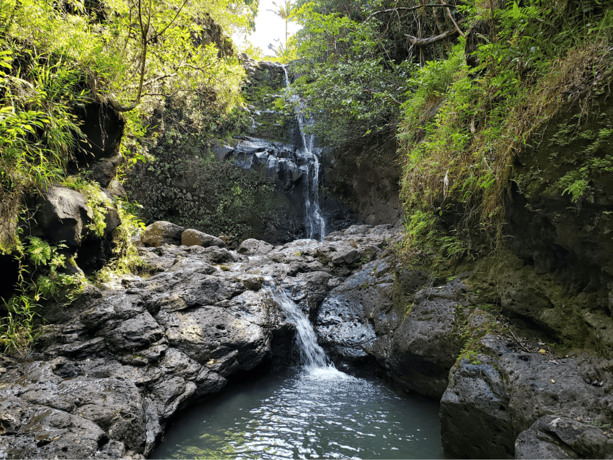 30+ Most Romantic Things To Do In Pearl City, Hawaii 2025